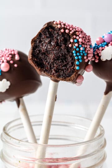 Chocolate Cake Pops (2 Ways!) - Cookie Dough Diaries