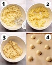 Coconut Sugar Cookies - Cookie Dough Diaries